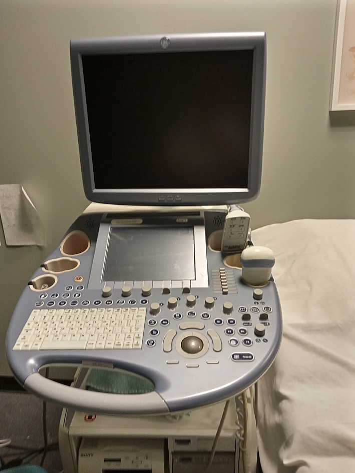 2013 GE Voluson E6 BT13